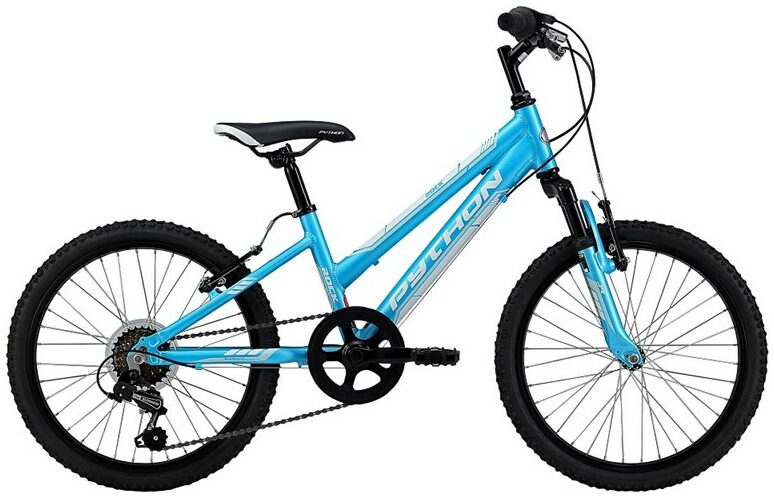 Python Rock 20-Inch Girls 2024 Bike