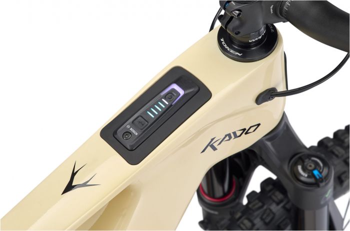 Whyte Kado RS 29-Inch 2025 Electric Bike
