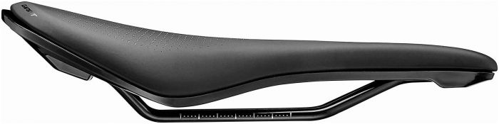 Giant Approach Saddle
